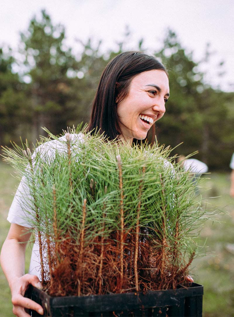 About | Otto Schoitz Foundation